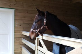 Design and build Auckland | Waikato | Master Builders | Harrison Lane