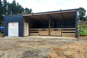 Design and build Auckland | Waikato | Master Builders | Harrison Lane